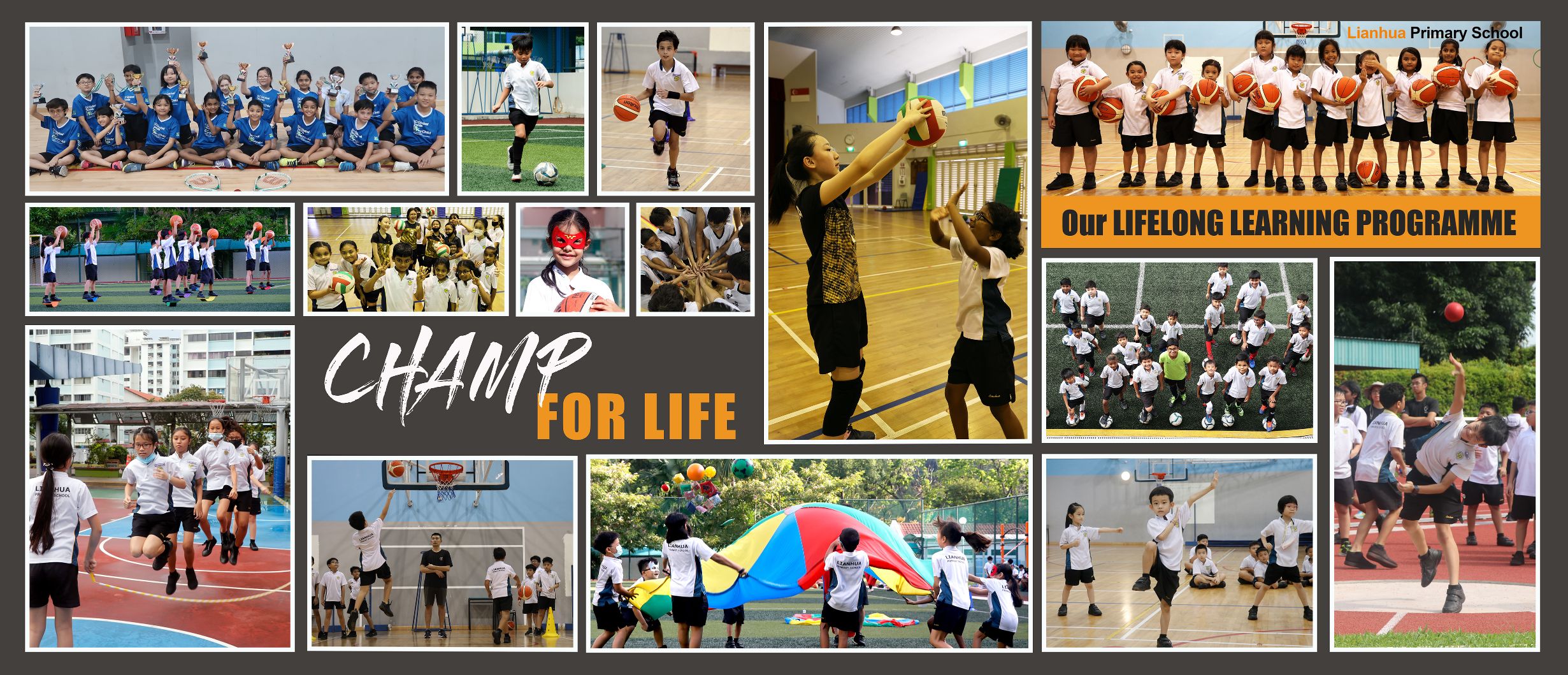 Learning for Life Programme (LLP)
